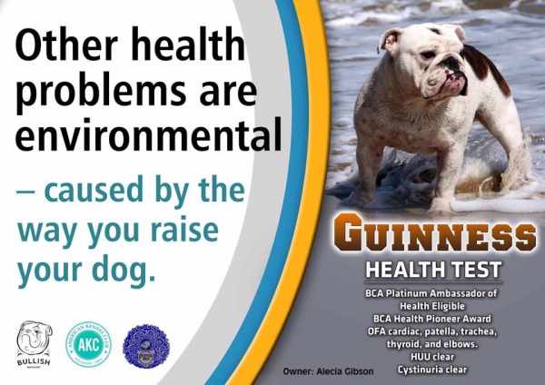 Health Care - The Bulldog Club of America
