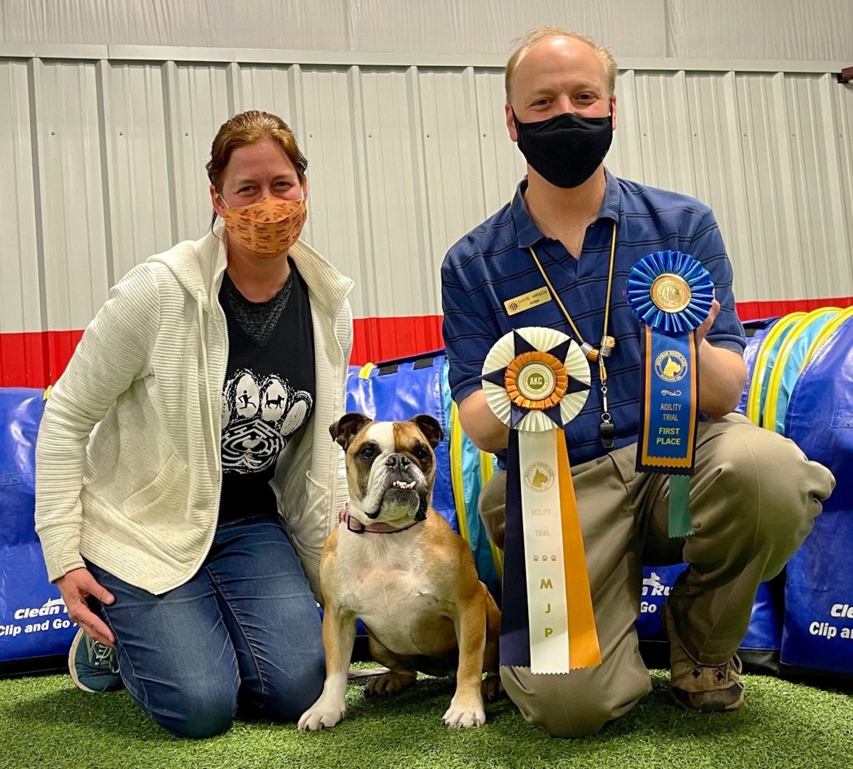 Performance Gallery - The Bulldog Club of America