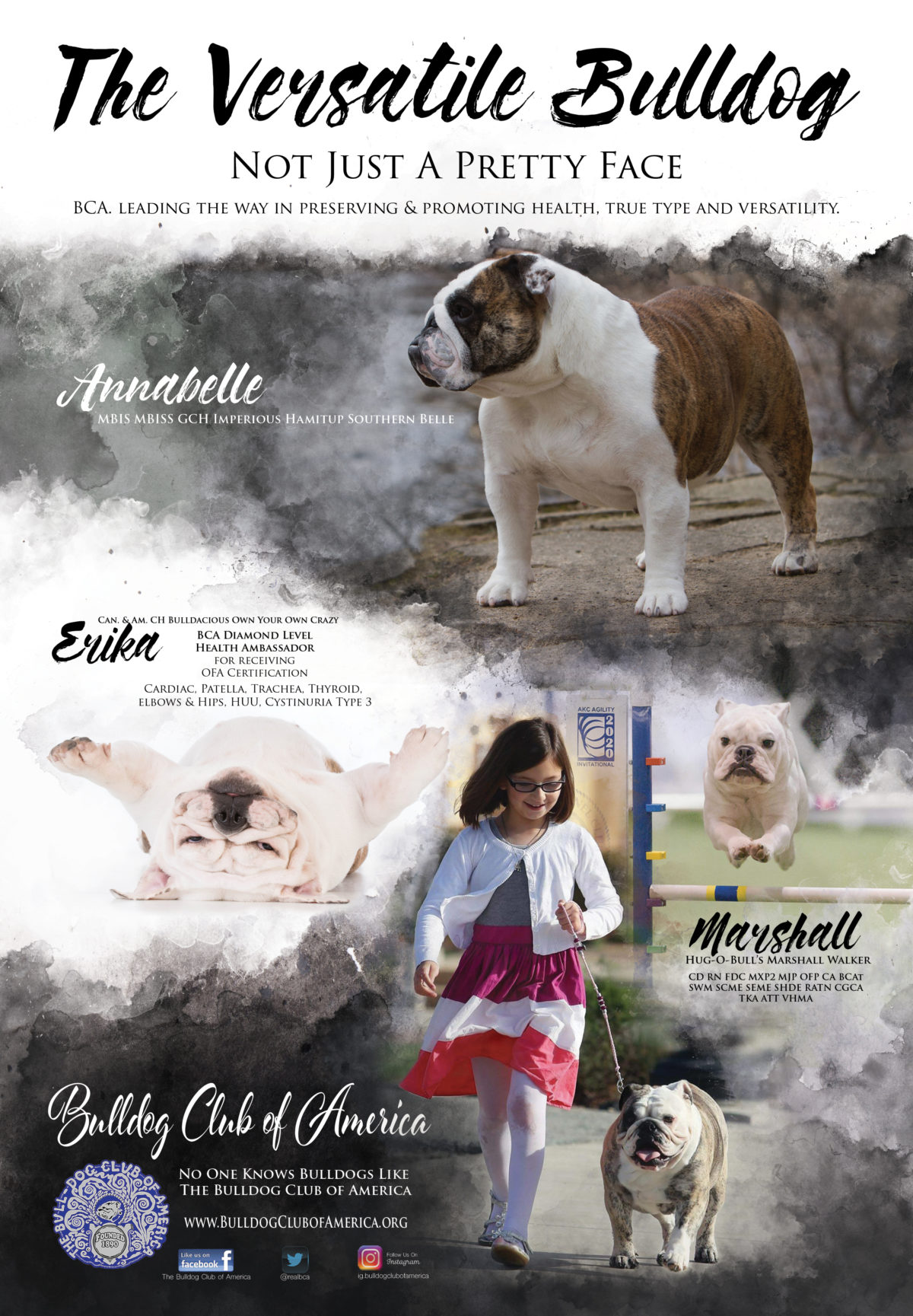 About Bulldogs - The Bulldog Club of America