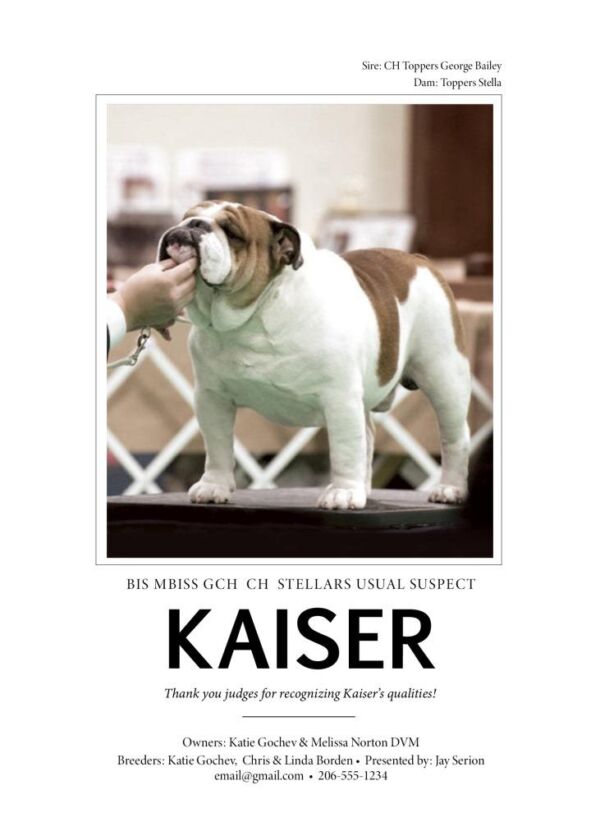 Bulldogger Advertising Full Page Template - The Bulldog Club of America