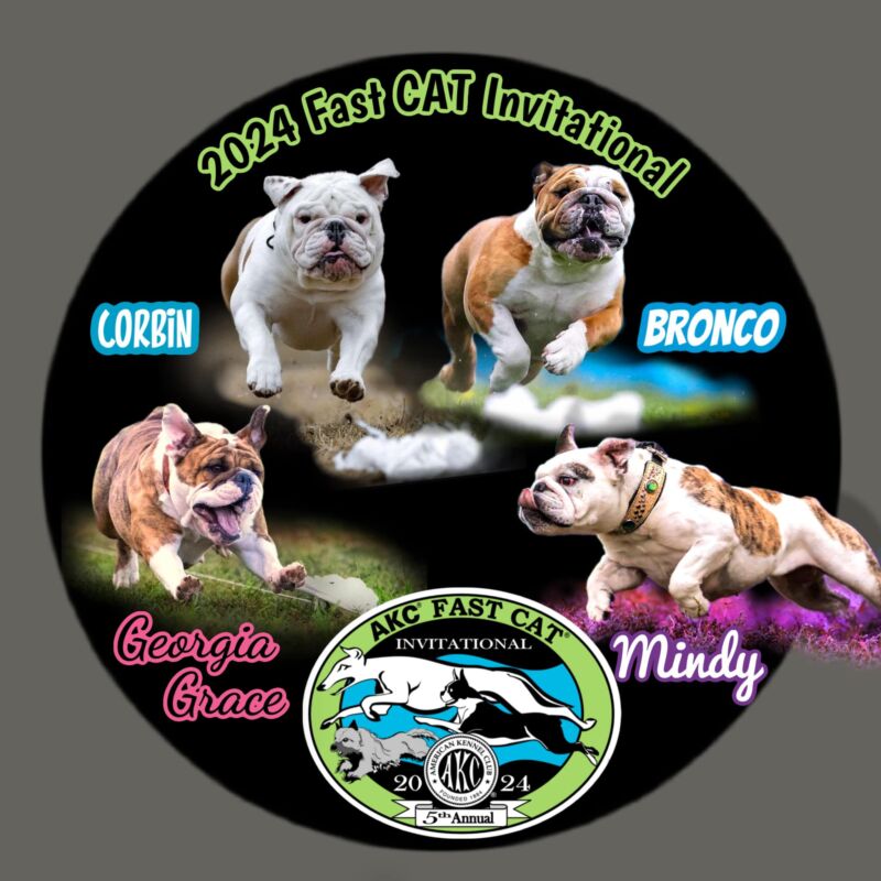 Bulldog Club of America - Home of the Official AKC Bulldog Breed Club ...